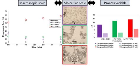 Polymers Free Full Text A Multi Scale Approach To Microencapsulation By Interfacial