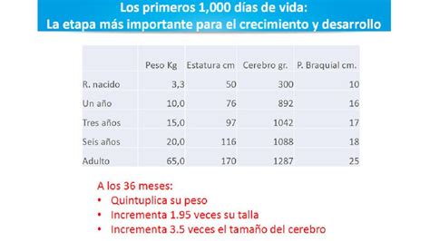 Desnutrición Sus Efectos Se Pueden Revertir Luego De Los 2 Años De