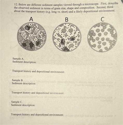 Solved 12 Below Are Different Sediment Samples Viewed