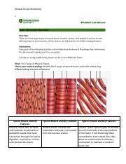 Understanding Muscle Tissue: Types, Features, and Functions | Course Hero