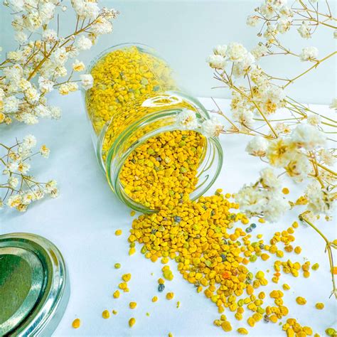 Fresh Frozen Bee Pollen Royal Bee