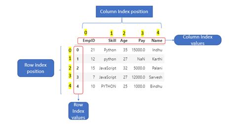 Indexing And Slicing Python Pandas Dataframe All About Ai Ml