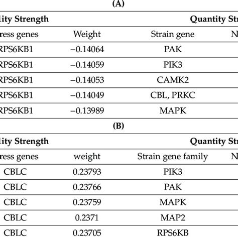 Gene Gene Interaction In Erbb Signaling Pathway A Top Five Negative
