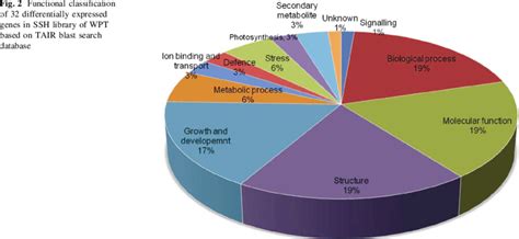 Functional Classification Of 32 Differentially Expressed Genes In Ssh