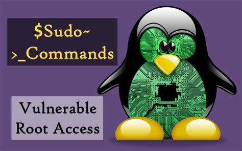 Linux Sudo Command Bug