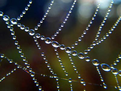 RxJava Threading Examples Evolvable MeEvolvable Me