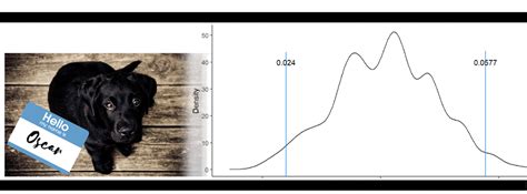 Bootstrap Tutorial In R Matthew Parker