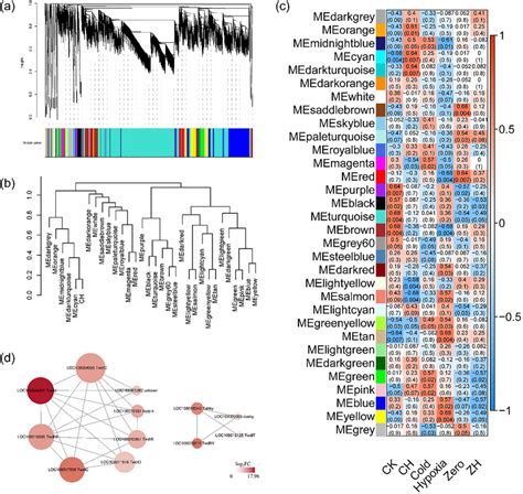 weighted gene co‐expression network analysis wgcna analysis for