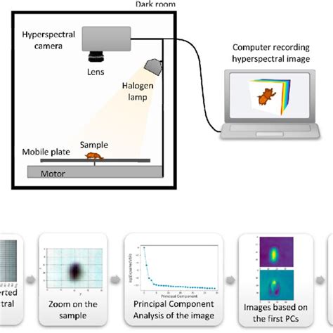 Hyperspectral images acquisition and analysis. (a) Pushbroom ...