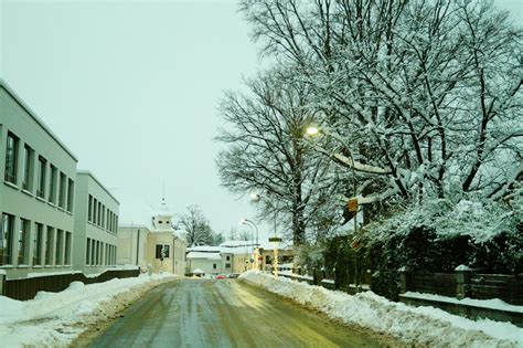 가로등 가로등 기둥 감기 거리 건물 건축 겨울 겨울 나무 겨울 동화나라 겨울 시즌 겨울 장면 겨울 풍경 겨울날 겨울철 계절 나무 날씨 눈 눈