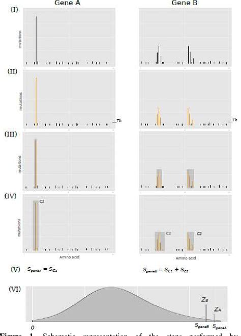 Figure 1 From Oncodriveclust Exploiting The Positional Clustering Of