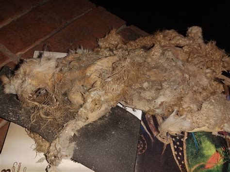 Rѕ একটি তালাবদ্ধ রুম একটানা দীর্ঘদিন বন্ধ। লোকেশন—জাহাঙ্গীরনগর বিশ্ববিদ্যালয়ের মীর মোশাররফ