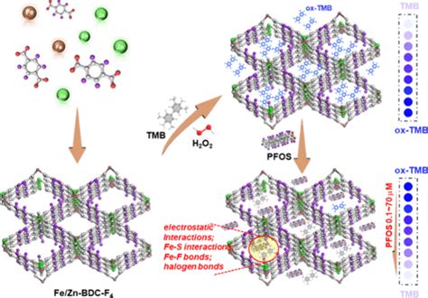 Tailoring The Coordination Environment Of Fe Zn Bdc To Boost Peroxidase Like Activity For Highly