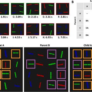 The Genetic Algorithm Procedure Used In Experiment 1 Panel A Depicts Download Scientific