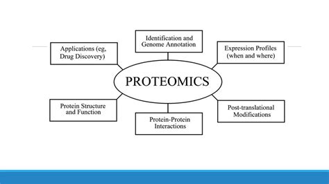 Genes Genomics And Proteomics Pptx