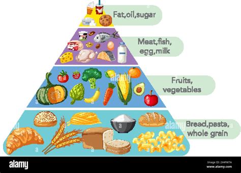 Illustrated Food Pyramid With Various Food Groups Stock Vector Image And Art Alamy