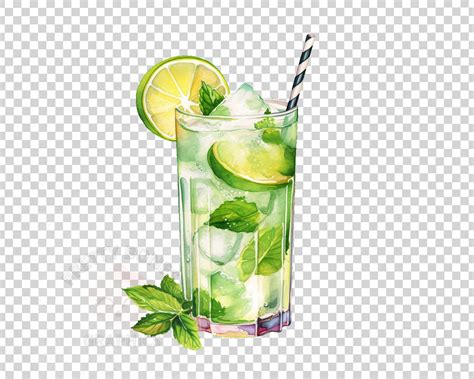 Mojito Cocktail Clipart Png Instant Download Digital Paper Craft
