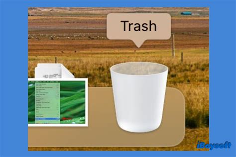 What And Where Is Mac Trash