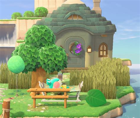 Lilys Frog Puddle 🐸 Racnewhorizons