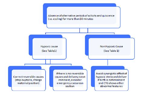 Suggested Management Algorithm For Absence Of Cycling Download Scientific Diagram