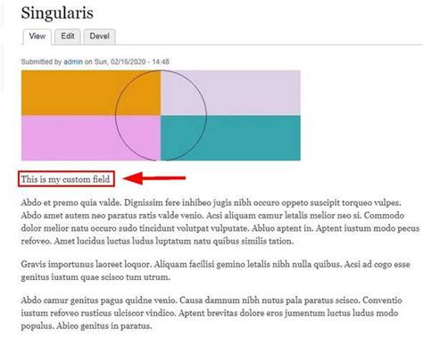 Drupal 7 Create Custom Fields For Node Entity Display Will Jackson