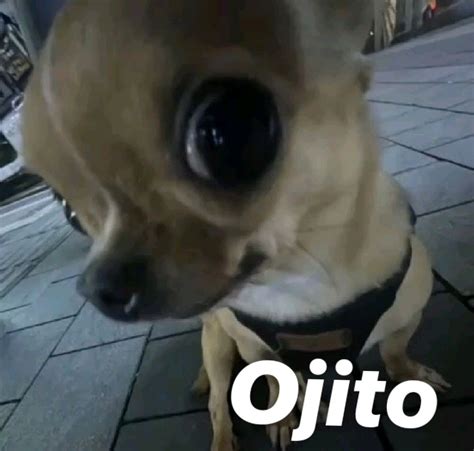 Mirada Que Juzga Stiker