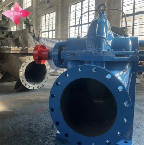 Lubrication Free Horizontal Double Suction Split Casing Centrifugal