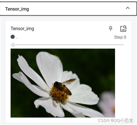 torchvision transform torchvision transform csdn博客