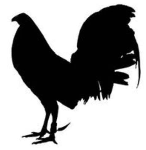 Cockfighting Rooster Men Svg Gamefowl Svg Rooster Svg Chicken Hunter
