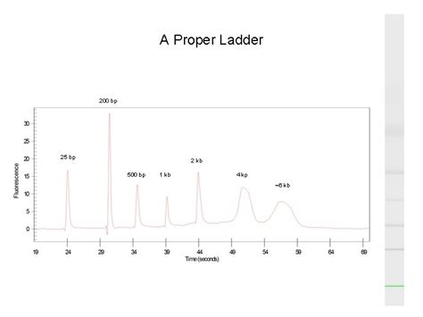 Interpretation Of Agilent 2100 Bioanalyzer Data Intact Total