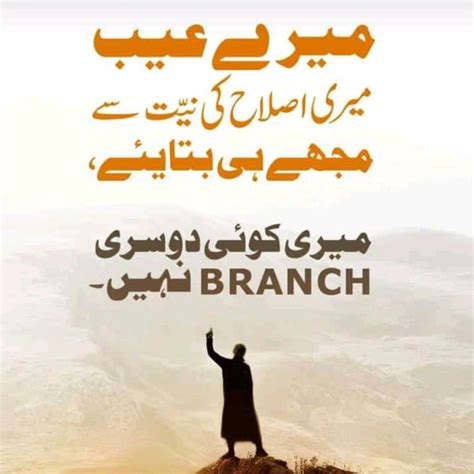 Self Improvement Is A Journey And Feedback Is The Compass That Guides