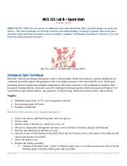 BIOL251 Lab 8 Spore Stain Fa20 Pdf BIOL 251 Lab 8 Spore Stain At Home Version DIRECTIONS