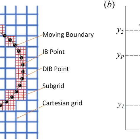 schematic of the interpolation using discretized immersed boundary