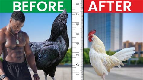 6 Things That Actually Make Your P Nis SMALLER YouTube