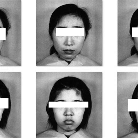 Japanese Female Facial Expression Jaffe Database Image Credit M Lyons Download Scientific