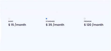 How To Create Custom Radio Button Using Html Css