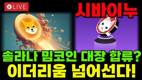 시바이누 코인 시바이누가 고양이와 만나면 솔라나 P2e게임 제작확정 연말 1달러 가능합니다 Youtube