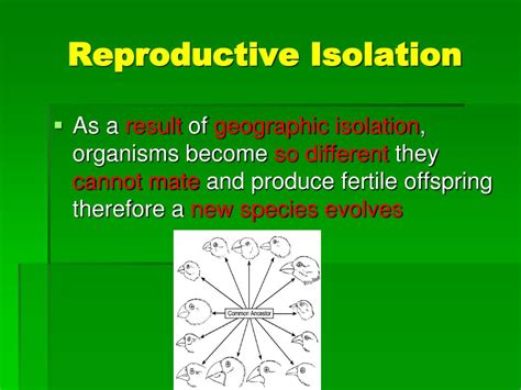 Ppt Evolution Powerpoint Presentation Free Download Id2098368