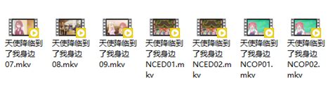 利用显卡硬件加速渲染视频AMD 哔哩哔哩