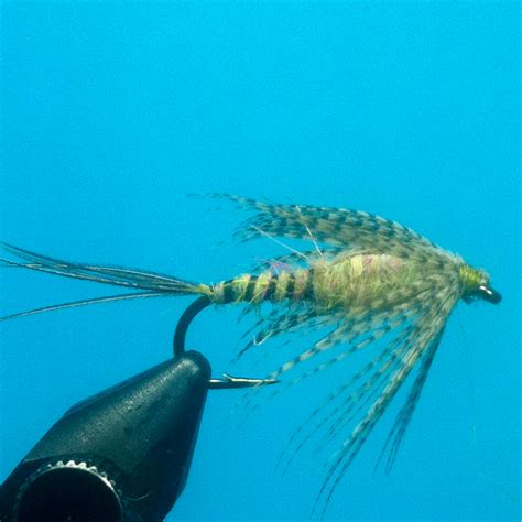 A Dozen Classic Mayfly And Attractor Patterns To Fill Your Nymph Box