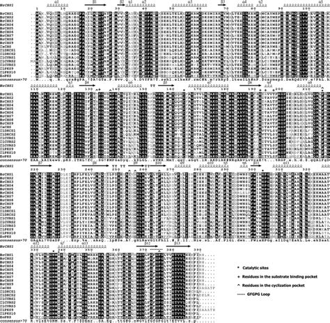 Multiple Sequence Alignment With Secondary Structural Details For