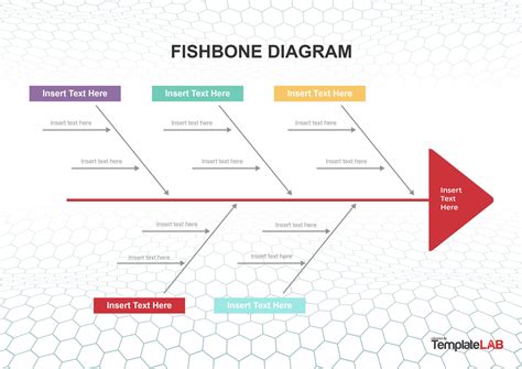 Fishbone Lab Diagram Blank