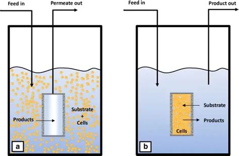 Bioreactor Types Design Parts Applications Limitations Biology Notes Online