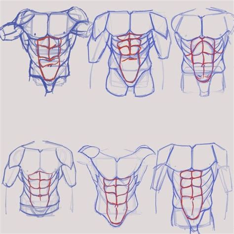 Abs Practice 4 For Men What Do You Think Learnart Art Reference Drawing Tutorial Drawing