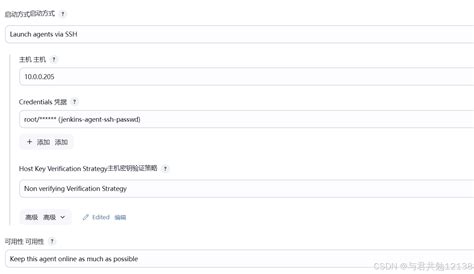 Jenkins 基于 Ssh 实现 Jenkins 分布式jenkins Sshagent Csdn博客