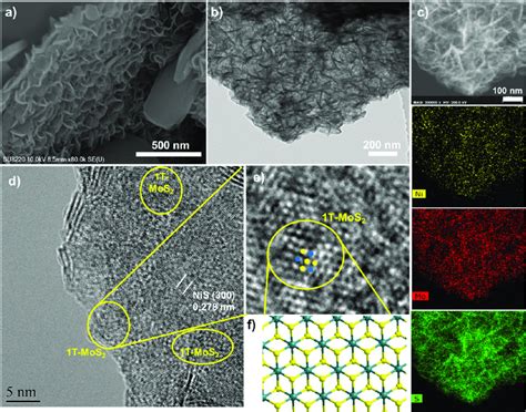 A SEM Image B TEM Image And C STEM EDX Elemental Mapping Of The Download Scientific