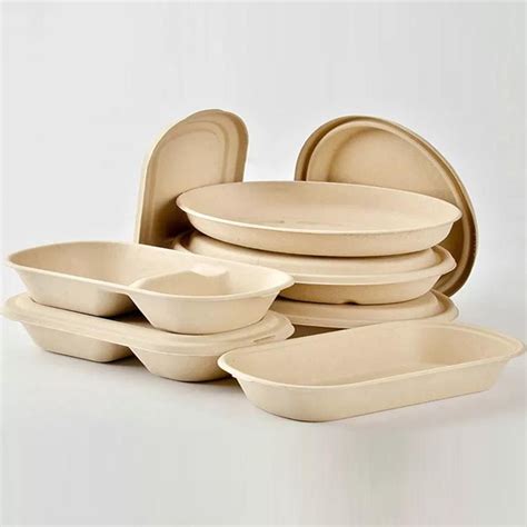 Bagasse Tableware And Containers Recyclopediasg