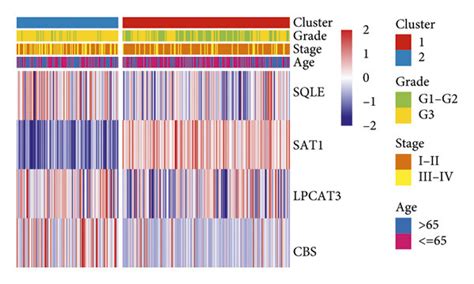 Determination Of Molecular Subtypes Utilizing Consistent Clustering