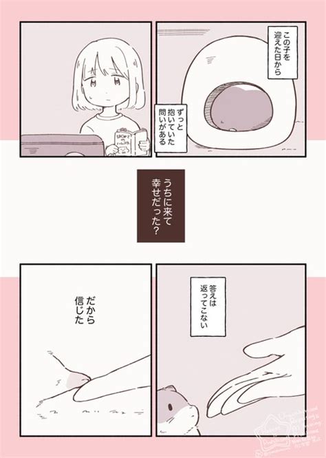 （22） しらほし卯乃単行本発売中🌻🐹 さんのマンガ ツイコミ仮