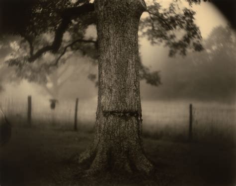 Sally Mann S Southern Vision Garden Gun